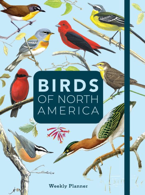 Birds of North America: Undated Weekly and Monthly Planner by Editors ...