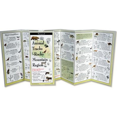 Animal Tracks of the Rocky Mountain Region by Mark Elbroch, Other ...