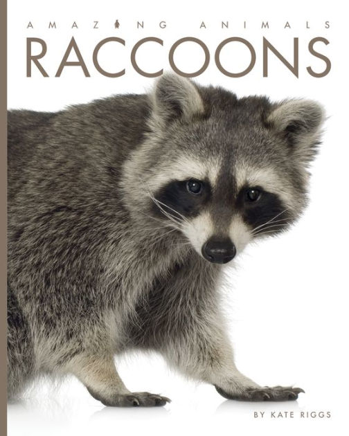 Raccoons (Amazing Animals Series) by Kate Riggs, Paperback | Barnes & Noble®