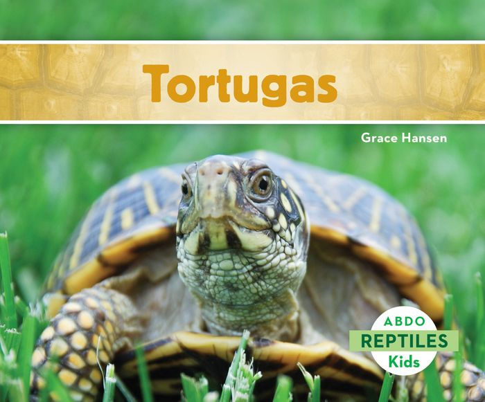 Tortugas By Grace Hansen Ebook Barnes And Noble®