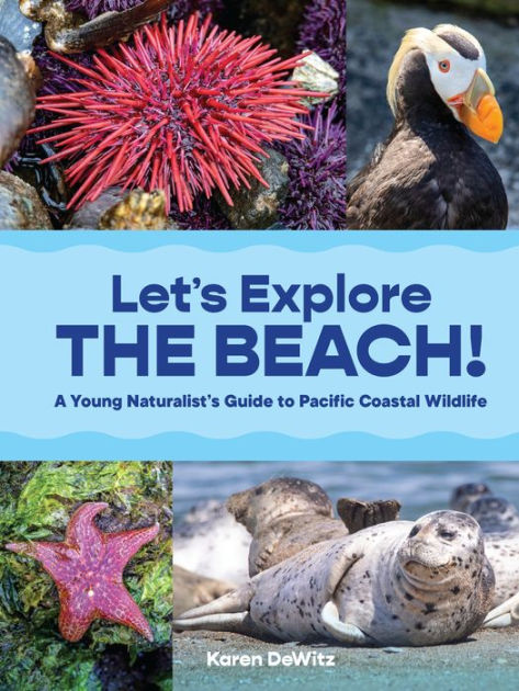 Let's Explore the Beach!: A Young Naturalist's Guide to Pacific Coastal Wildlife by Karen DeWitz ...