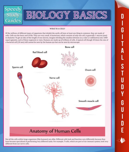 Biology Basics (Speedy Study Guide) by Speedy Publishing | eBook ...