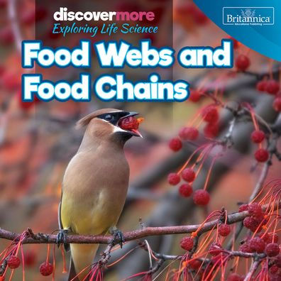 Food Webs and Food Chains by Ernest Brazzos, Hardcover | Barnes & Noble®