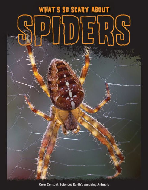 What's So Scary about Spiders? by Joanne Mattern | eBook (NOOK Kids ...