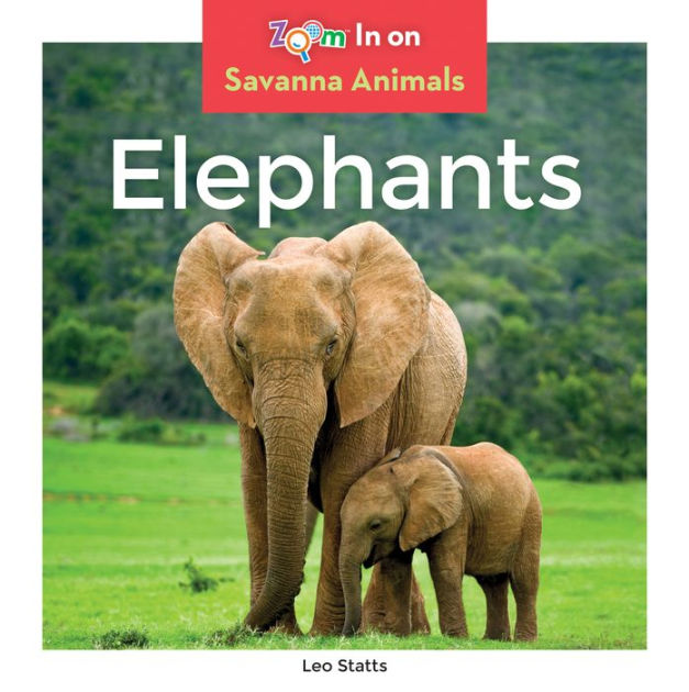 Elephants by Leo Statts | eBook | Barnes & Noble®