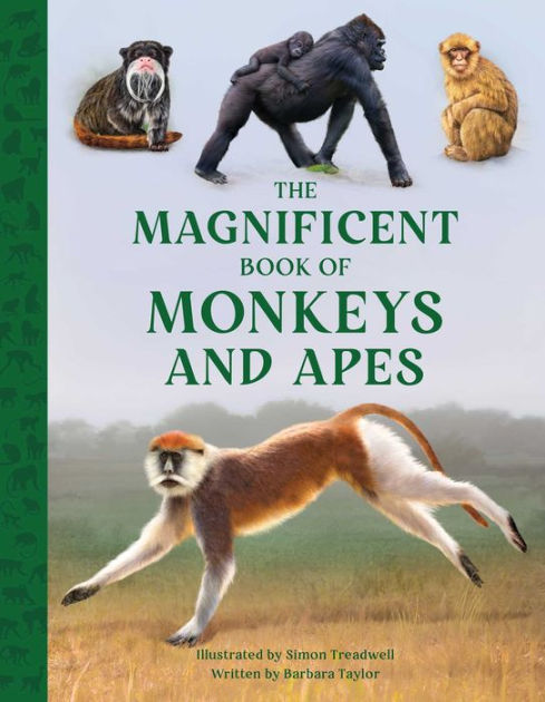 The Magnificent Book of Monkeys and Apes by Barbara Taylor, Simon ...