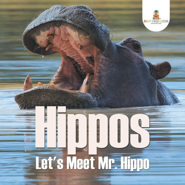 Hippos - Let's Meet Mr. Hippo by Baby Professor, Paperback | Barnes ...