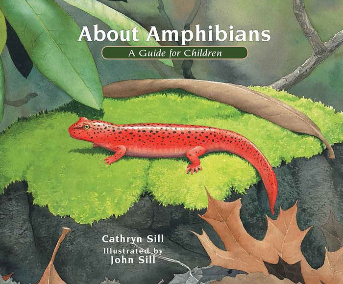About Amphibians: A Guide for Children (Educational Science Book About ...