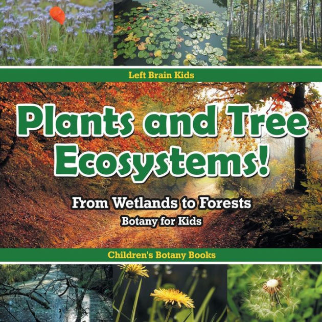 Plants and Tree Ecosystems! From Wetlands to Forests - Botany for Kids ...