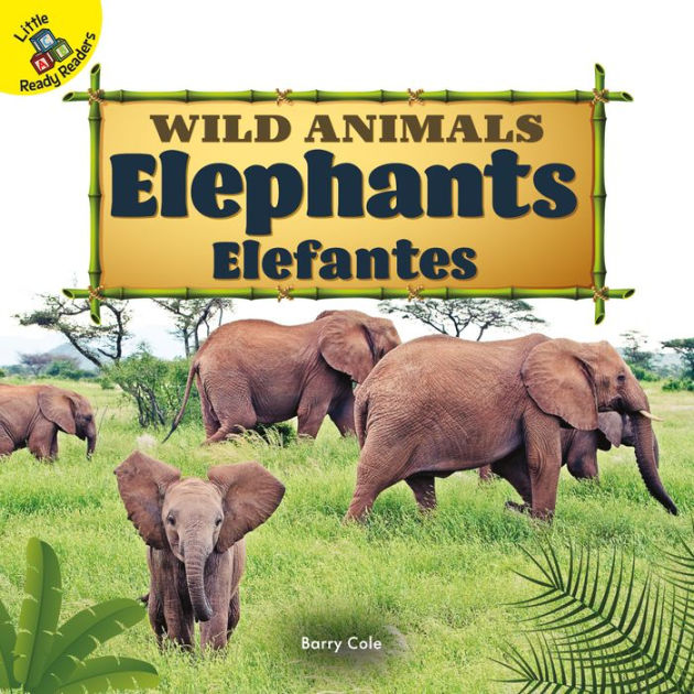Elephants: Elefantes by Cole | eBook (NOOK Kids) | Barnes & Noble®