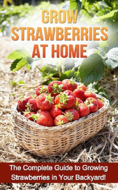 Grow Strawberries at Home: The complete guide to growing strawberries in your backyard! by Steve ...