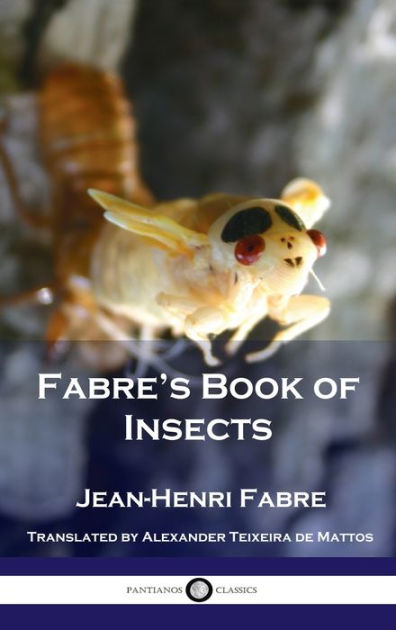 Fabre's Book of Insects by Jean Henri Fabre, Paperback | Barnes & Noble®
