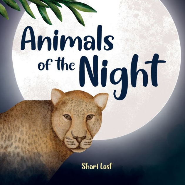 Animals of the Night: Meet some of the nocturnal creatures that come ...