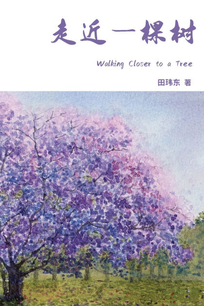 Walking Closer to a Tree by Weidong Tian, Paperback | Barnes & Noble®