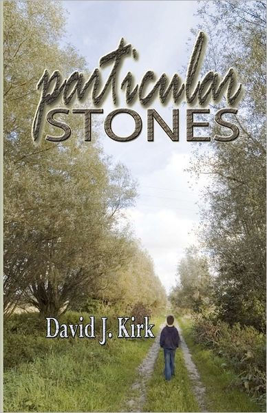 Particular Stones by David J Kirk, Paperback | Barnes & Noble®