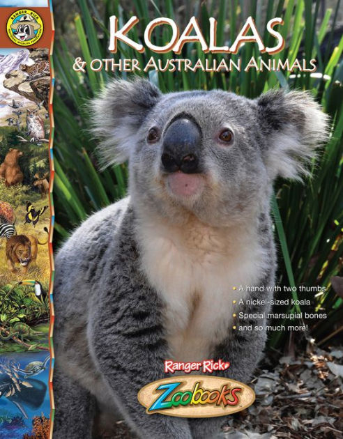 Koalas by Ltd. WildLife Education | eBook (NOOK Kids) | Barnes & Noble®
