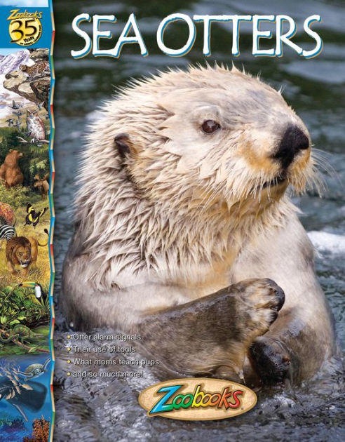 Sea Otters by Ltd. WildLife Education | eBook (NOOK Kids) | Barnes & Noble®