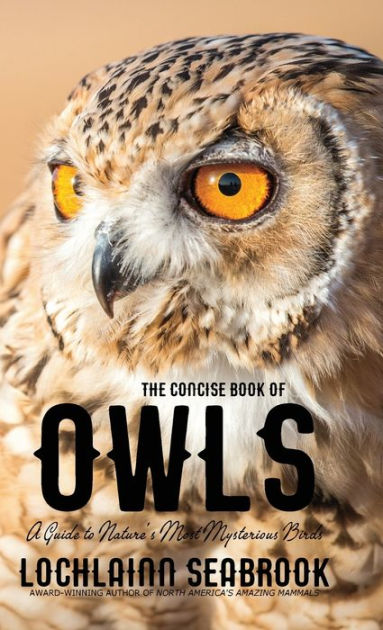 The Concise Book of Owls: A Guide to Nature's Most Mysterious Birds by ...