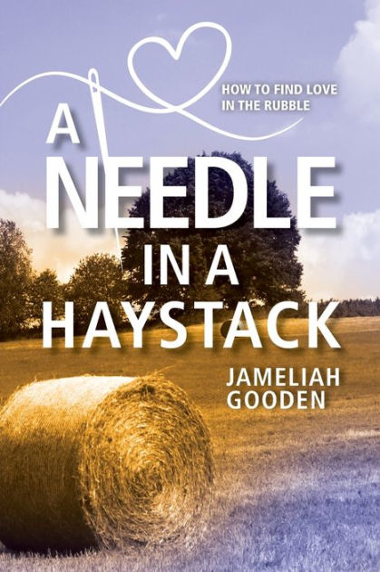 A Needle in a Haystack: How to Find Love in the Rubble by Jameliah Gooden, Paperback | Barnes ...