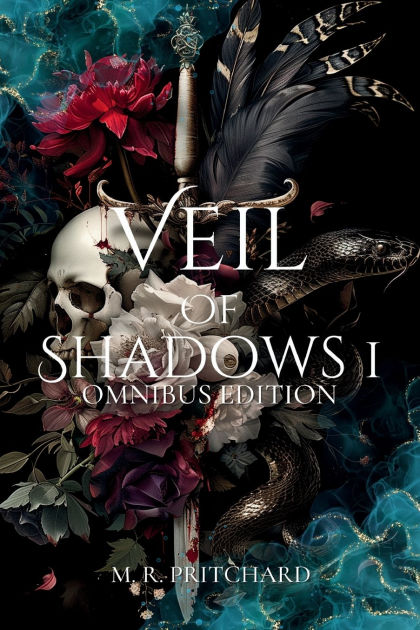 Veil of Shadows I by M R Pritchard, Paperback | Barnes & Noble®
