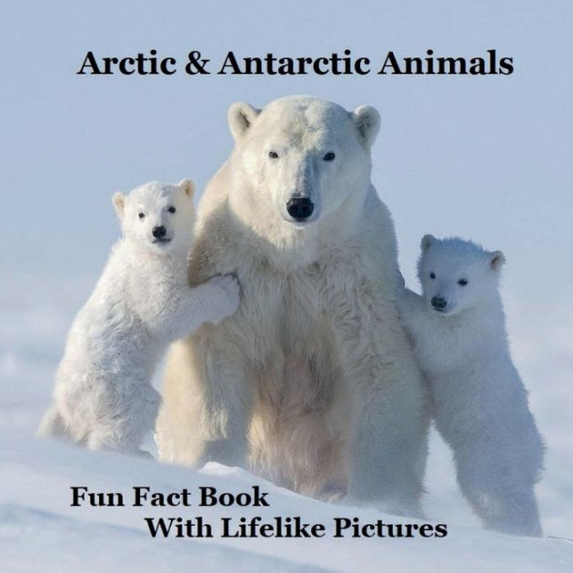 Arctic & Antarctic Animals Kids Book with Lifelike Pictures: Learn Some ...