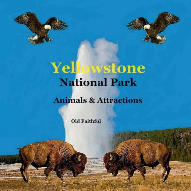 Yellowstone Park Animals & Attractions Kids Book: Great Way for kids to ...