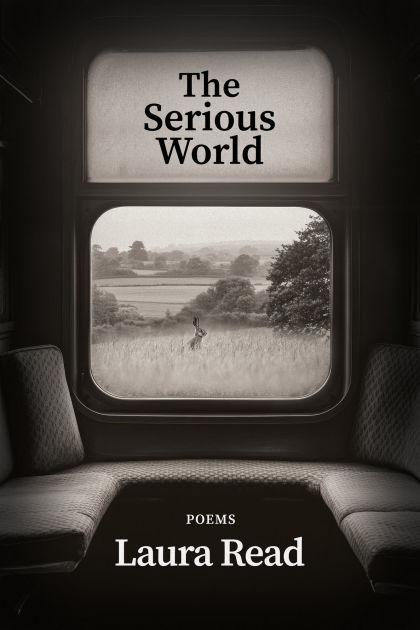The Serious World by Laura Read, Paperback | Barnes & Noble®