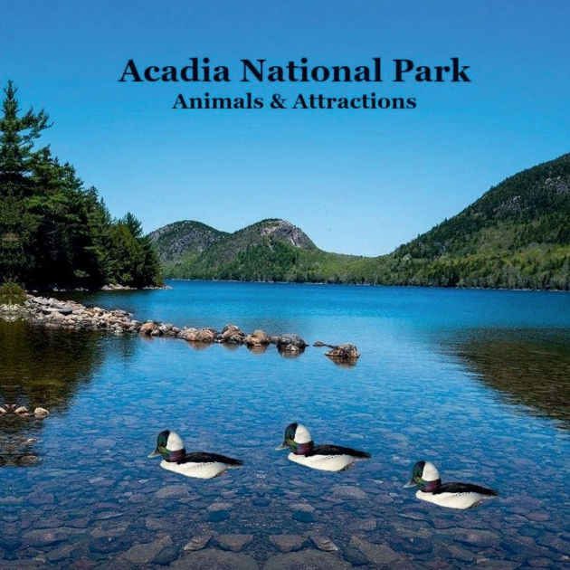 Acadia National Park Animals and Attractions Kids Book: Great Way for ...