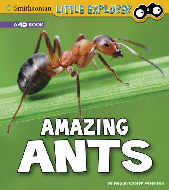 Amazing Ants: A 4D Book by Megan Cooley Peterson, Hardcover | Barnes & Noble®
