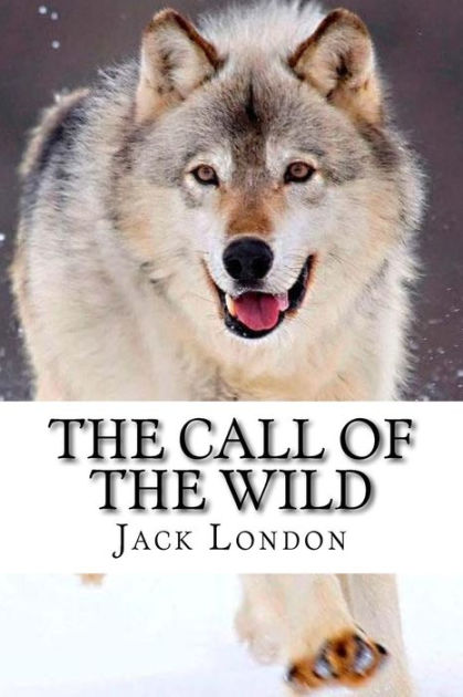 The Call of the Wild by Jack London, Paperback | Barnes & Noble®