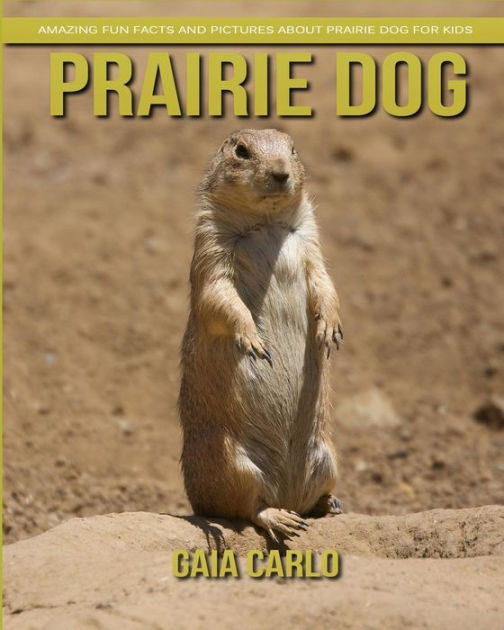 Prairie Dog: Amazing Fun Facts and Pictures about Prairie Dog for Kids ...