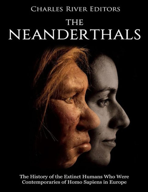 The Neanderthals The History Of The Extinct Humans Who Were