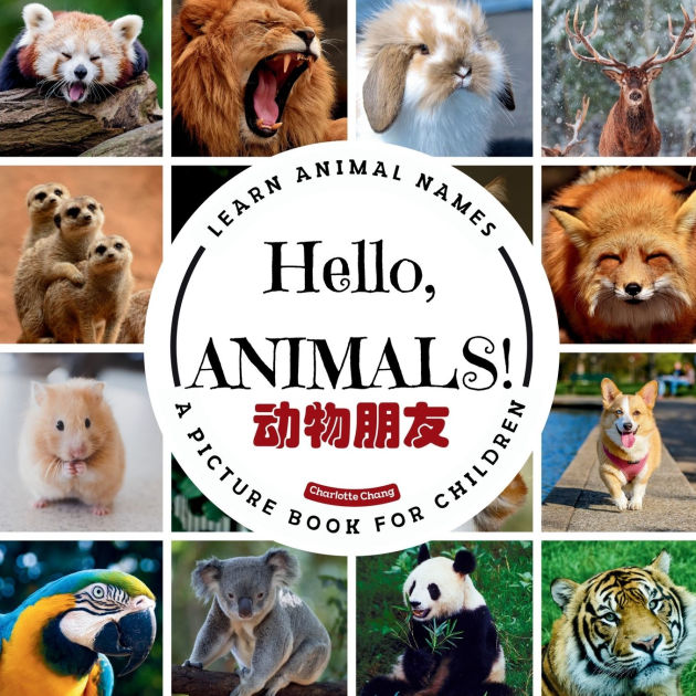 Hello, Animals!: A Bilingual Picture Book to Learn Animal Names and ...