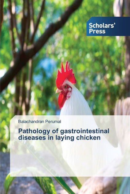 Pathology of gastrointestinal diseases in laying chicken by ... Pathology of gastrointestinal diseases in laying chicken by ...