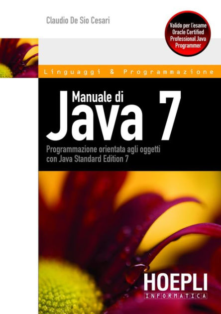 Manuale Di Java 7 Programmazione Orientata Agli Oggetti Con Java Standard Edition 7 By Claudio 0884