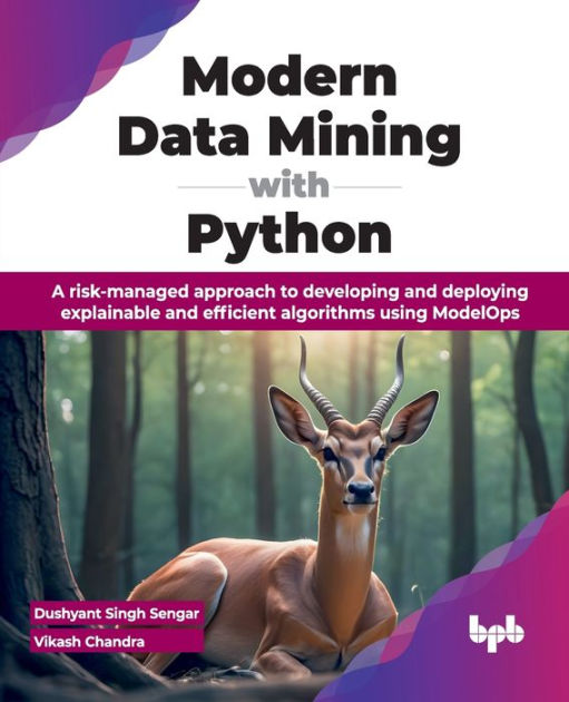 Modern Data Mining With Python A Risk Managed Approach To Developing And Deploying Explainable