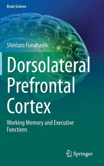 Dorsolateral Prefrontal Cortex Working Memory And Executive Functions By Shintaro Funahashi