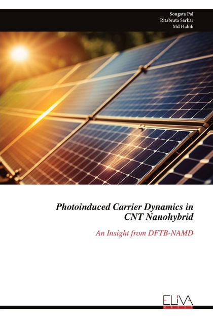 Photoinduced Carrier Dynamics in CNT Nanohybrid: An Insight from DFTB-NAMD by Sougata Pal ...