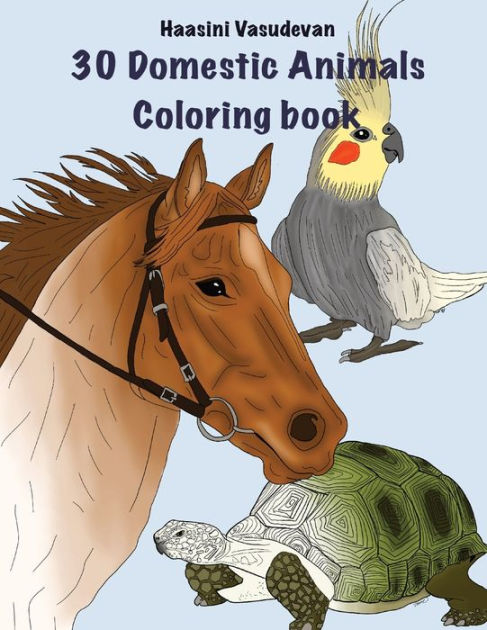 30 Domestic Animals Coloring Book by Haasini Vasudevan, Paperback ...
