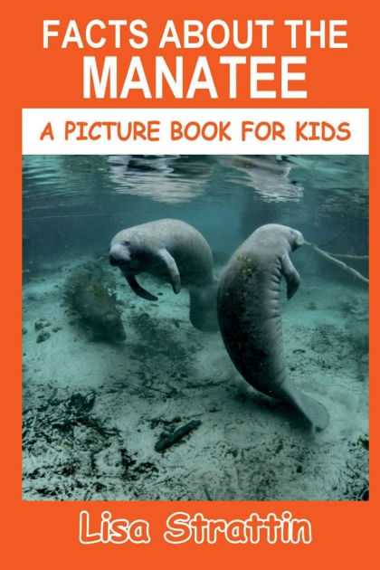 Facts About the Manatee by Lisa Strattin, Paperback | Barnes & Noble®