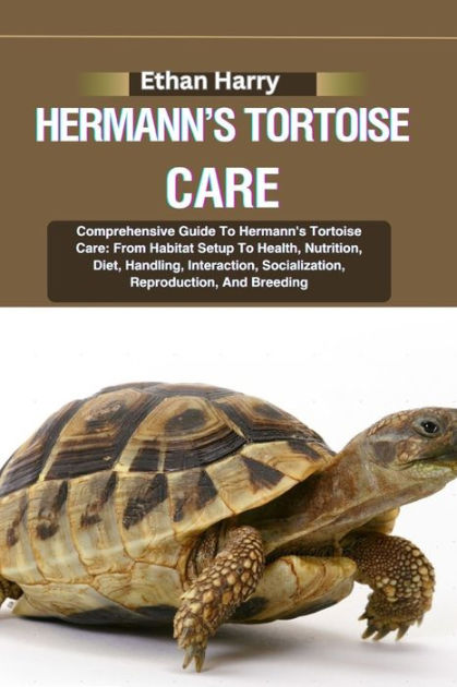 Hermann's Tortoise Care: Comprehensive Guide To Hermann's Tortoise Care: From Habitat Setup To ...