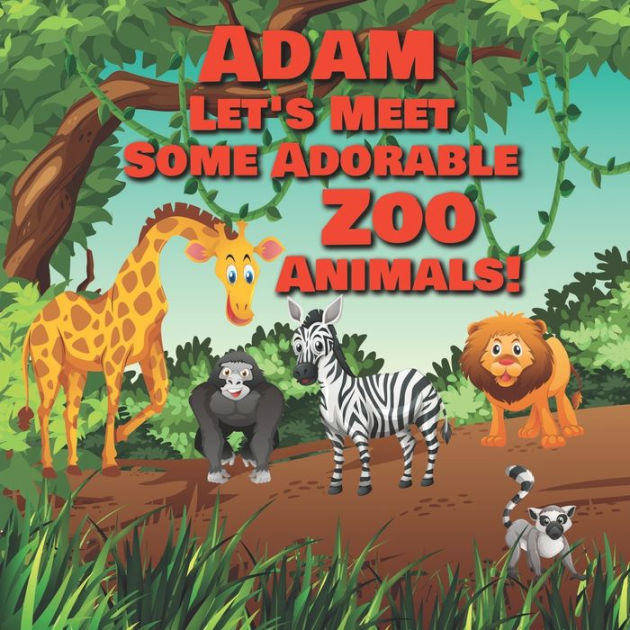 Adam Let's Meet Some Adorable Zoo Animals!: Personalized Baby Books ...