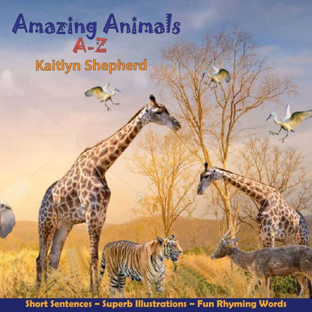 Amazing Animals A-Z: Interactive Animal Alphabet Picture Book to Learn ...