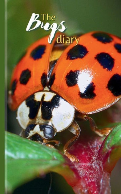 The Bugs Diary: Travel Journal Collection by Johnny Travel, Paperback | Barnes & Noble®