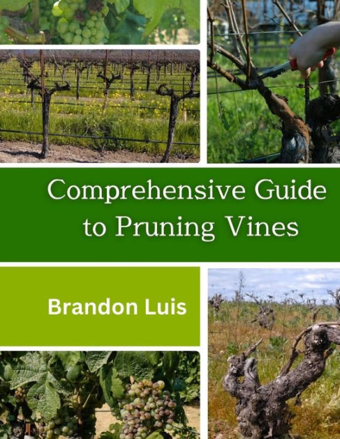 COMPREHENSIVE GUIDE TO PRUNING VINES: Pruning process for different plants and tools, techniques ...