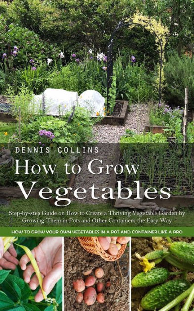 How to Grow Vegetables: Step-by-step Guide on How to Create a Thriving ...