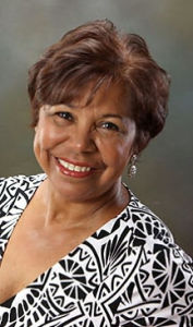 D. J. and the Zulu Parade by Denise McConduit, Hardcover | Barnes & Noble®