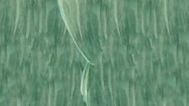 Tallulah's Solo by Marilyn Singer, Alexandra Boiger, Hardcover | Barnes ...