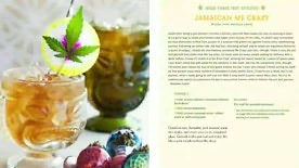 The Official High Times Cannabis Cookbook: More Than 50 Irresistible ...