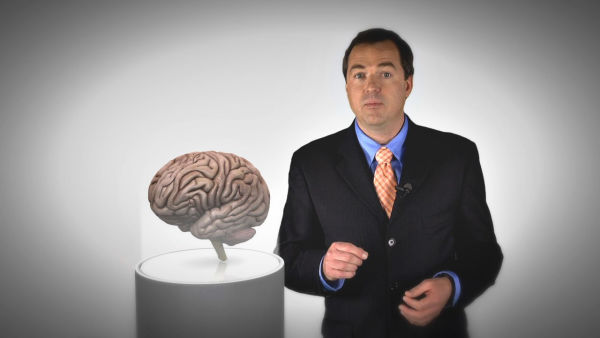 Scientific Secrets for a Powerful Memory by Peter M. Vishton | DVD ...